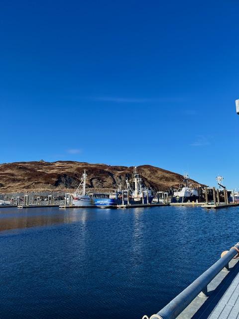 The Carl E. Moses Boat Harbor (CEM) Facility | City of Unalaska ...